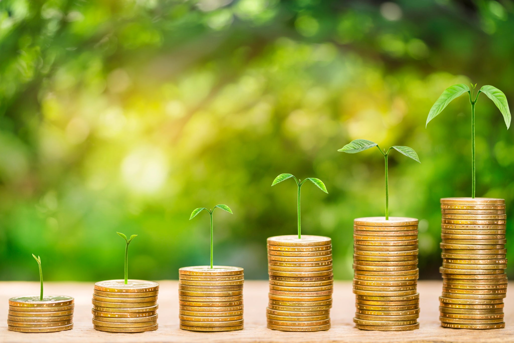 The Circular Economy - The Office Crowd